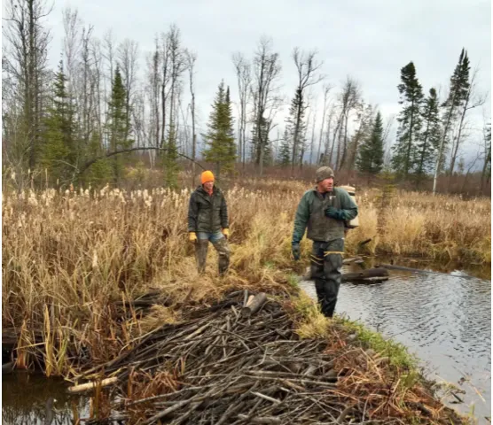 Nuisance Animal Control Services | Hook & Trigger, Minnesota